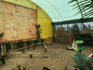 Tropical Beach - The Worlds of Castaway Play